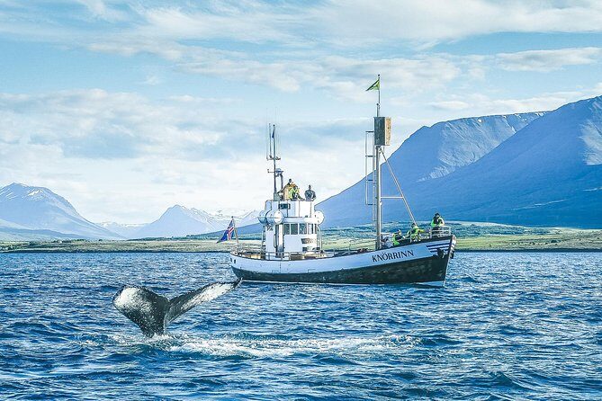 Whale Watching on board a Traditional Oak Boat from Árskógssandur - FAQ