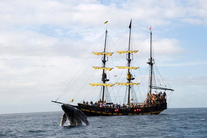Whale-Watching Pirate Ship Cruise in Los Cabos - Food, Drinks, and the Pirate Atmosphere