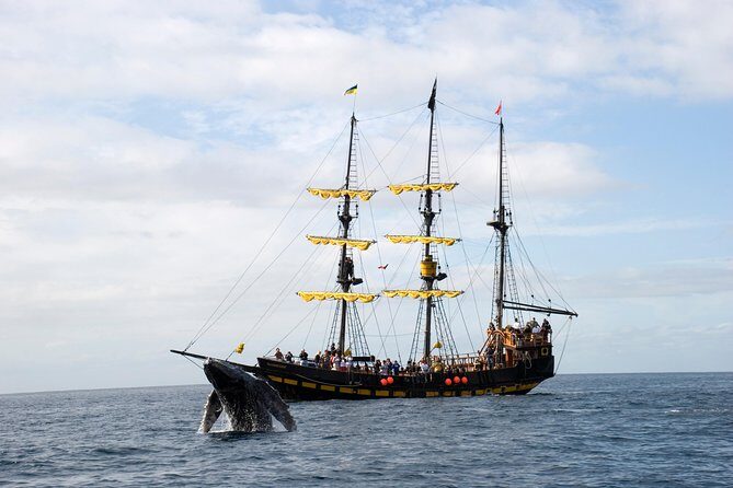 Whale-Watching Pirate Ship Cruise in Los Cabos - Authentic Experiences from Reviewers