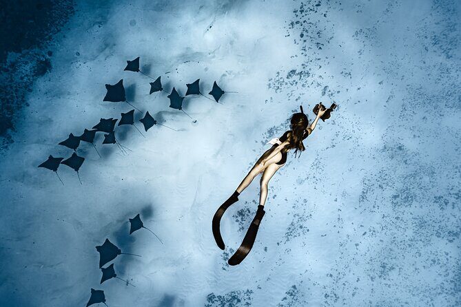 Whale Watching Shared Half Day - Why the Whale Watching Shared Half Day Excursion Really Works