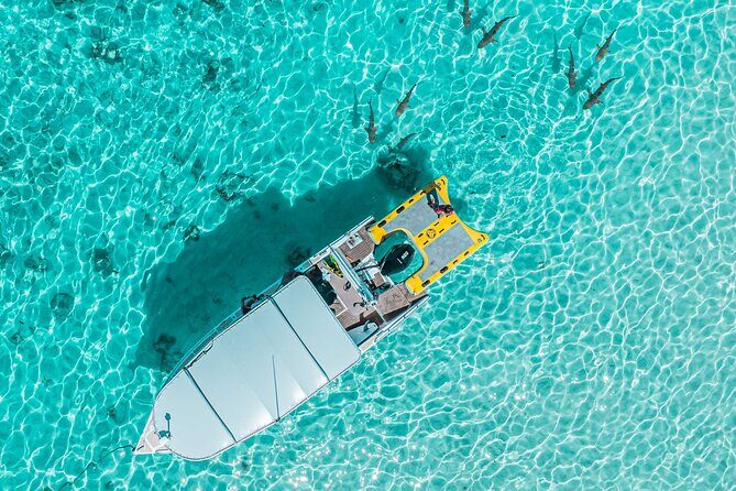 Whale Watching Shared Half Day - FAQ