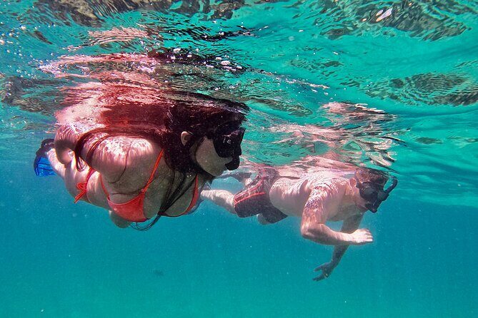 Whale Watching & Snorkeling Combo in Los Cabos with Photos Included - Practical Details: Why This Tour Offers Great Value