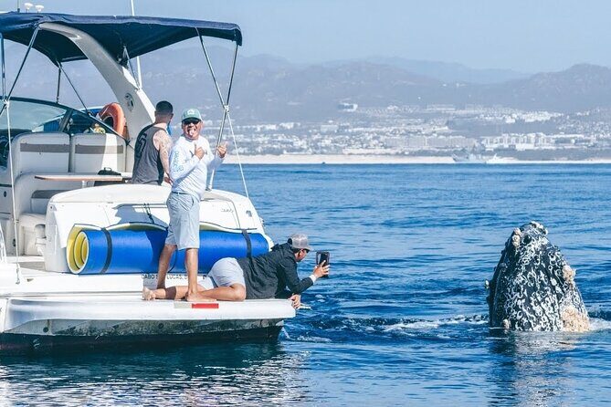 Whale Watching & Snorkeling Private Yacht Tour Cabo with Food & Drinks - Whale Watching & Snorkeling Private Yacht Tour Cabo with Food & Drinks: An In-Depth Review