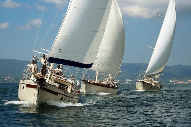 Whale Watching The Best Of Puerto Vallarta - Who Will Love This Tour?