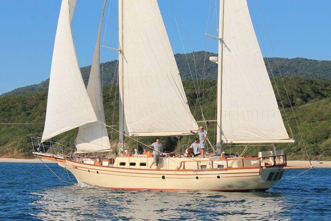 Whale Watching The Best Of Puerto Vallarta - The Sum Up