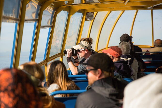 Whale-Watching Tour from Vancouver - Authentic Experiences from Past Guests