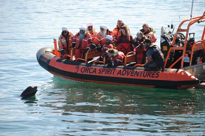 Whale Watching Tour in a Zodiac Boat in Victoria - FAQs
