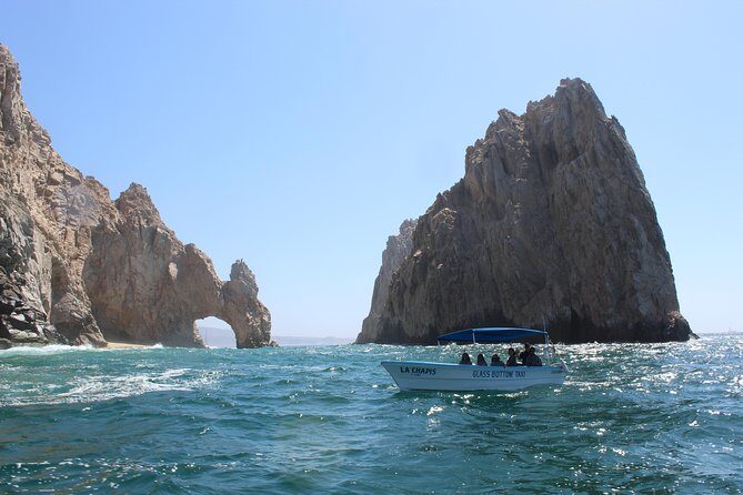 Whale Watching Tour in Glass Bottom Boat (VisitA Cabo) - The Experience in Detail