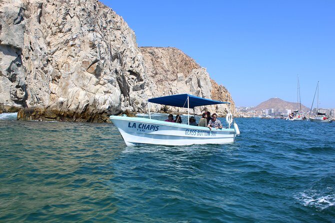 Whale Watching Tour in Glass Bottom Boat (VisitA Cabo) - Who is This Tour Perfect For?