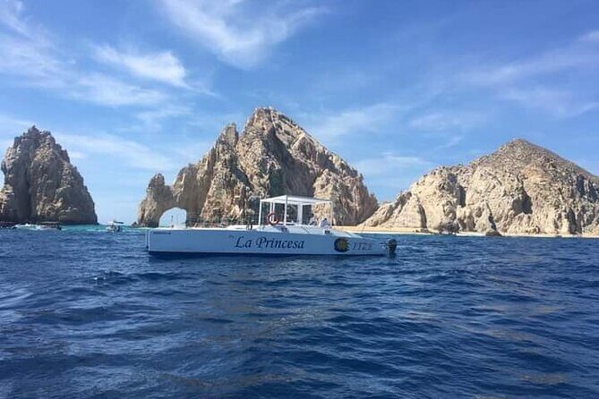 Whale Watching Tour in Los Cabos - Detailed Breakdown of the Experience