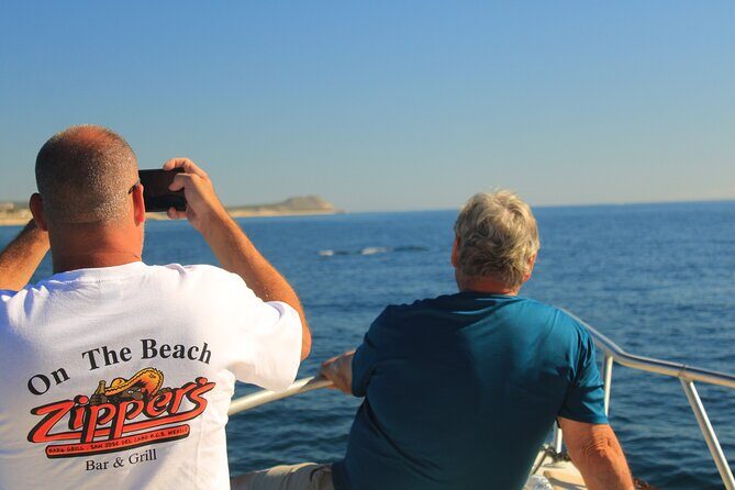 Whale Watching Warranty in San José del Cabo Snacks and drinks - Additional Perks: Snacks, Beverages, and Service