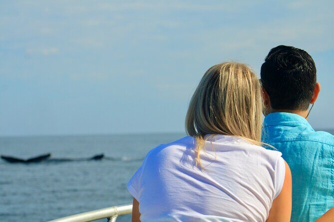 Whale Watching Warranty in San José del Cabo Snacks and drinks - FAQ