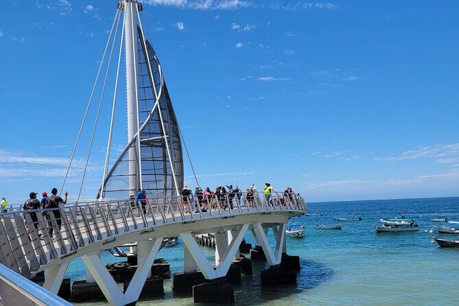 Whale watching with Snorkeling and beach Colomitos - Final Thoughts