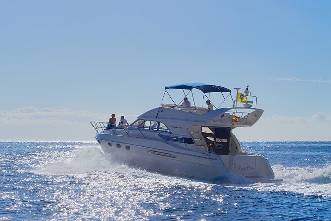 Whales and Dolphins excursion on a Luxury Yacht in Canary Islands - Key Points
