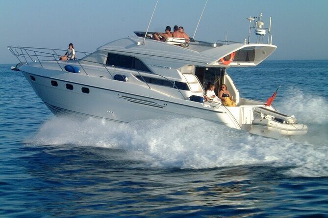 Whales and Dolphins excursion on a Luxury Yacht in Canary Islands - Who Is This Tour Best For?