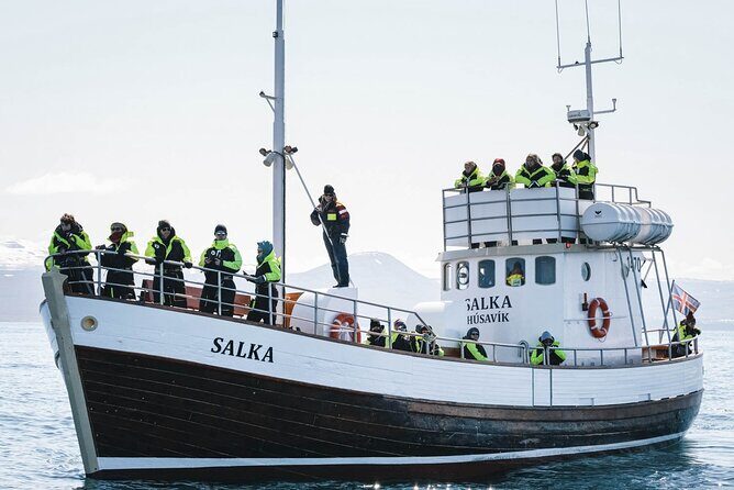 Whales and Puffins Tour from Husavik - Practical Tips for Travelers