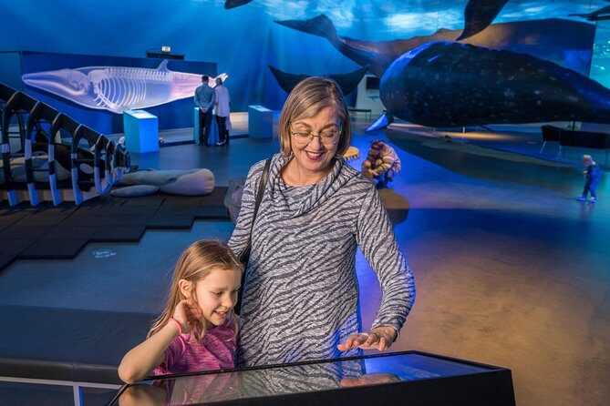 Whales Of Iceland Admission Ticket - FAQ