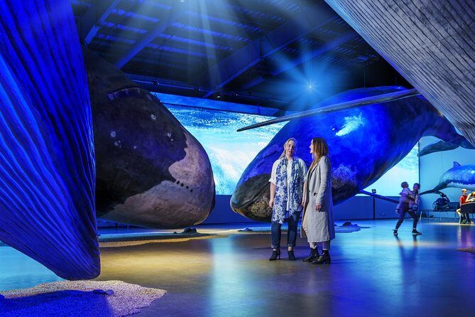 Whales of Iceland from Land and Sea - The Additional Museum Experience
