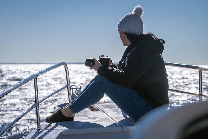 Whales of Sydney Sea Safari - FAQs