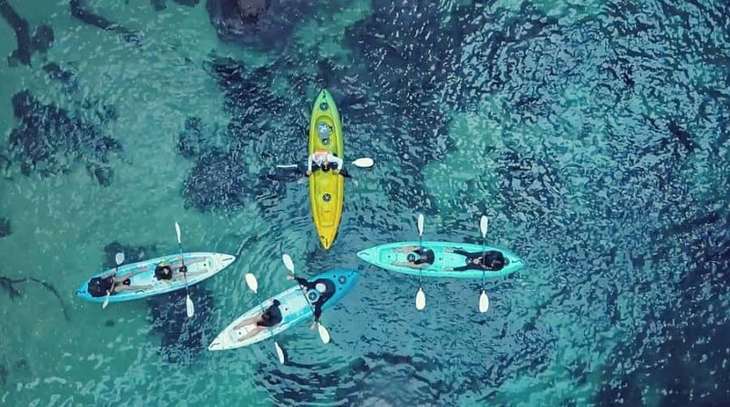 Whangamata: Donut Island Guided Kayaking Experience - Key Points
