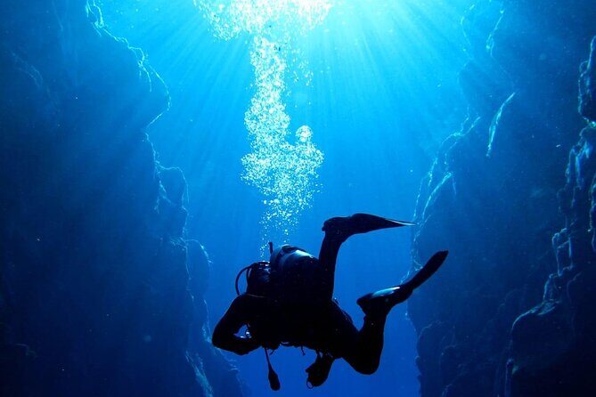 Where and How You Want Private Tour with Wilmar English or Spanish - What You Can Expect from the Experience