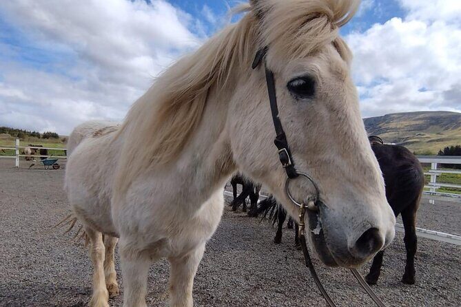 Where and How You Want Private Tour with Wilmar English or Spanish - Final Thoughts