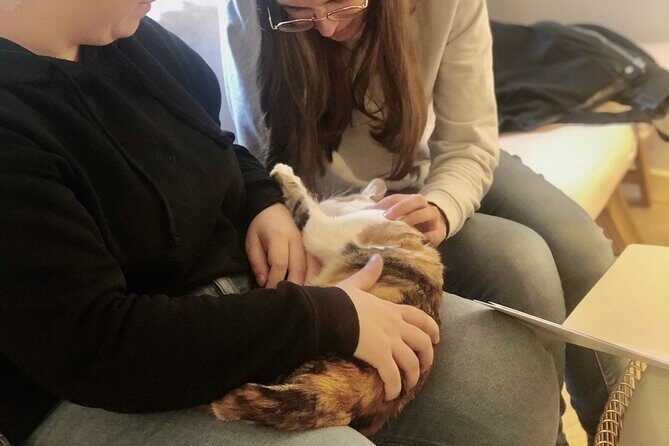 Whiskers & Coffee: Relax and Play with Adorable Cats - What to Expect from Whiskers & Coffee