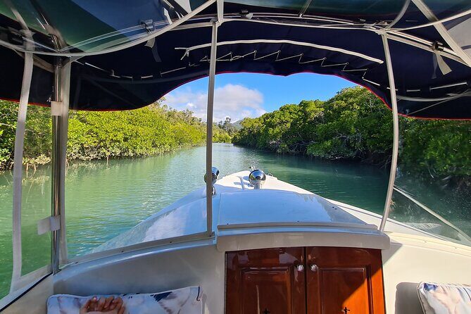 Whisper Cruises - One-Hour Turtle Spotting Bay Cruise - Key Points