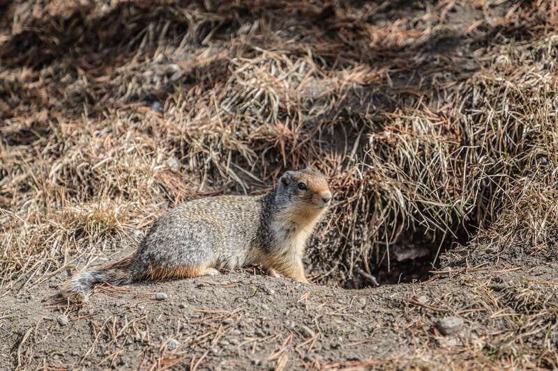 Whistler: Adventure to Vancouver (3-Days) - The Sum Up: Who Is This Tour Best For?