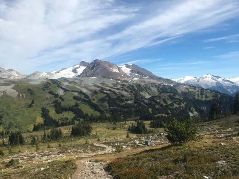 Whistler: Alpine Hiking Tour with Gondola Ride - Whistler Alpine Hiking Tour: What You Can Expect