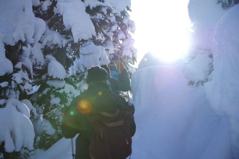 Whistler: Backcountry Snowshoeing Tour with Guide - The Sum Up: Is It Worth It?