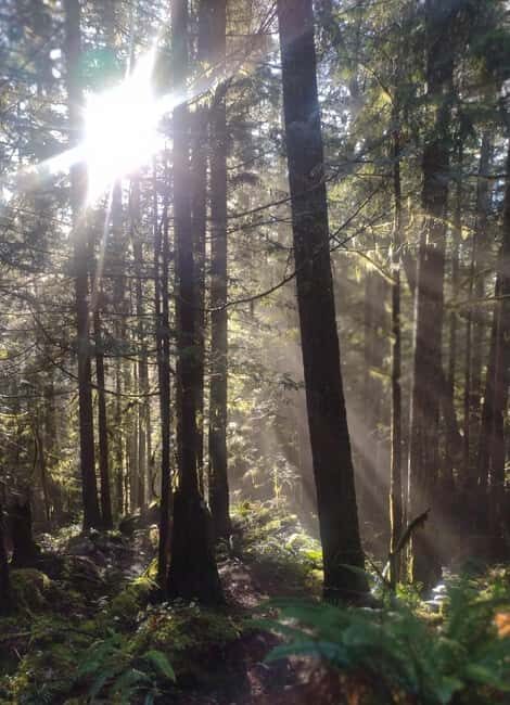 Whistler: Cheakamus Lake Guided Hike in Garibaldi Park - Exploring the Cheakamus Lake Guided Hike in Garibaldi Park: An Honest Review