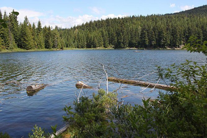 Whistler Day Trip by Seaplane - Value and Cost Considerations