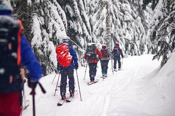 Whistler Intro to Backcountry Skiing and Splitboarding - Exploring Whistler’s Backcountry: What You Can Expect