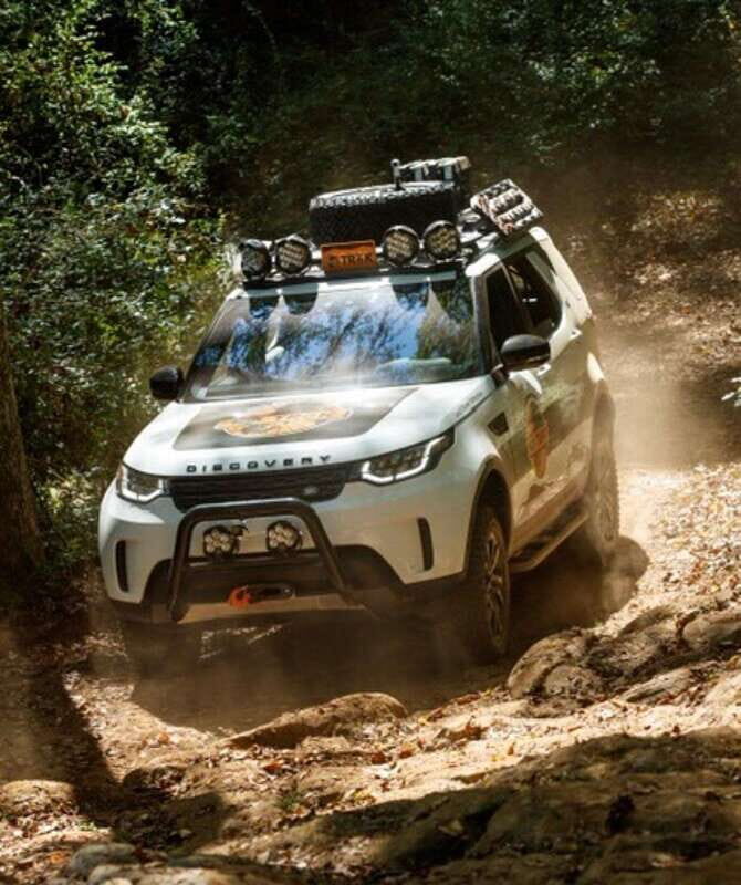 Whistler: Morning with the Bears Land Rover Scenic Excursion - FAQ