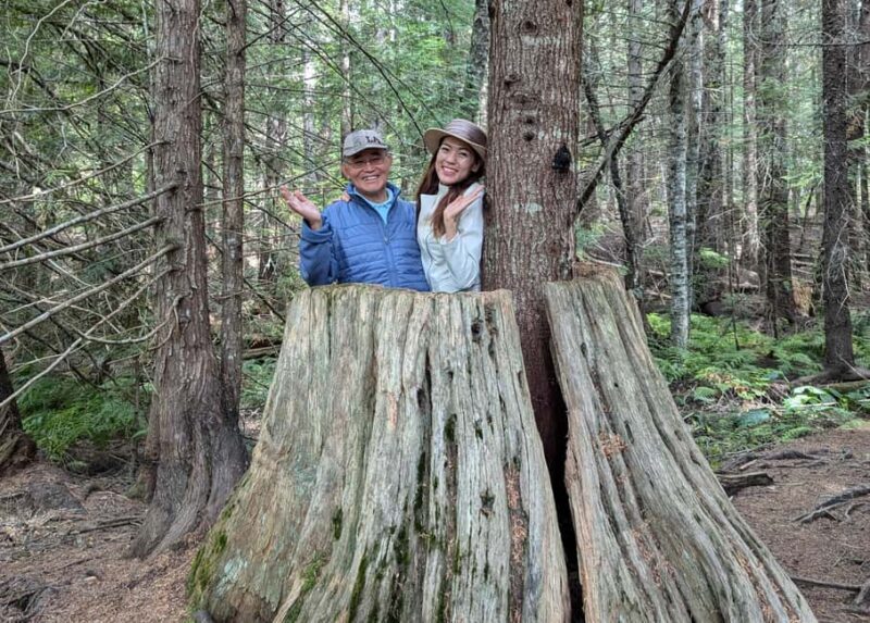 Whistler: Tour, Immersive Nature Experience - Final Thoughts