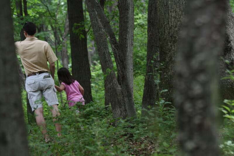 Whistler: Tour, Sensory Nature Experience for Families - Is This Tour Worth It?