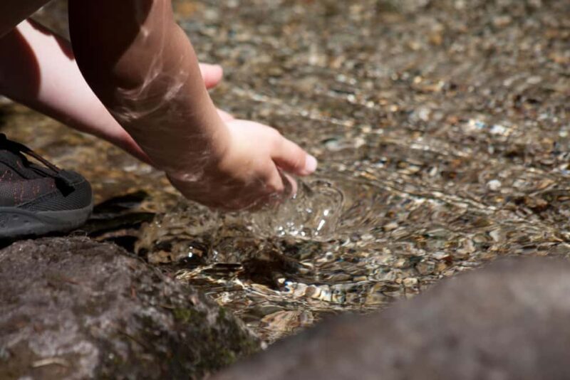 Whistler: Tour, Sensory Nature Experience for Families - Who’s This Tour Best For?