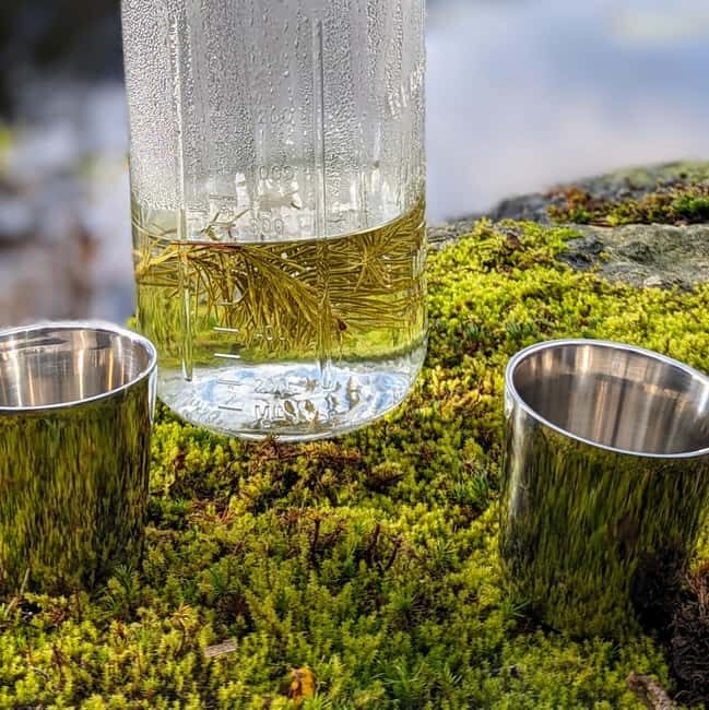 Whistler: Tour, Sensory Nature Experience for Families - FAQs