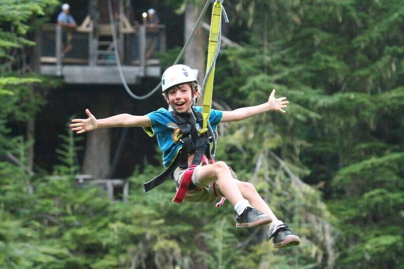 Whistler Zipline Experience: Ziptrek Bear Tour - Key Points