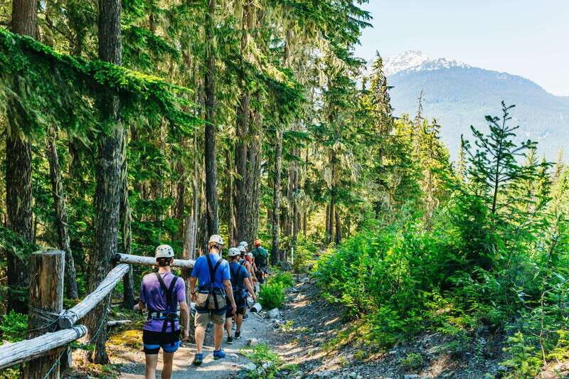 Whistler: Ziplining Experience - An In-Depth Look at the Whistler Ziplining Tour