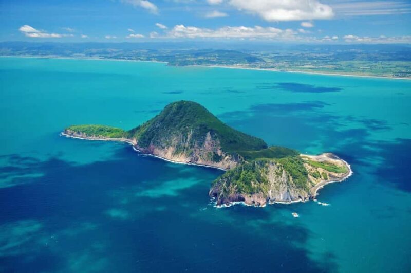 White Island & Whale Island 1-Hour Volcano Scenic Flight - The Value of this Scenic Flight