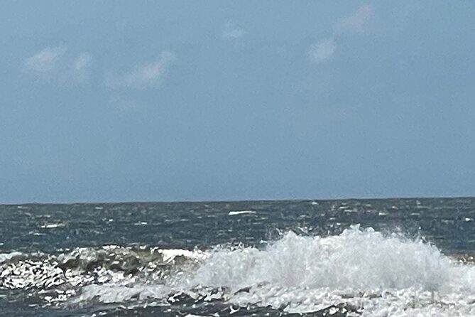 White point Battery and River Run through Charleston Harbor Boat - Final Thoughts