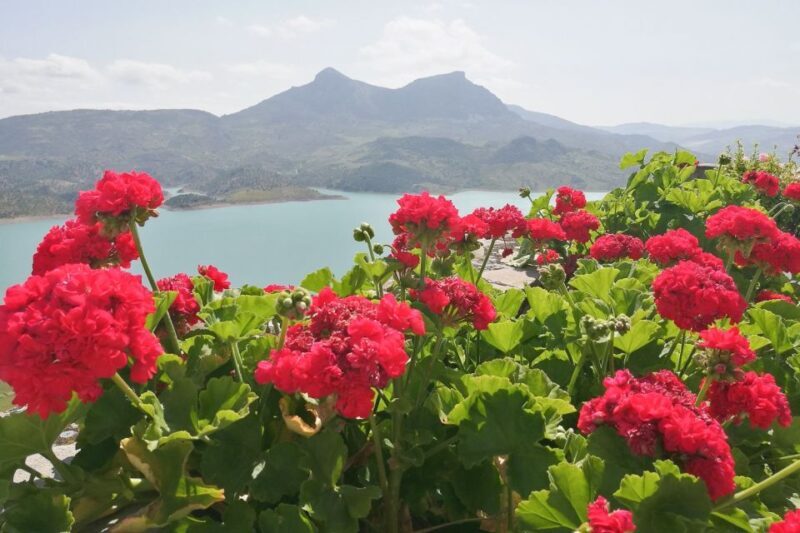 White Villages & Ronda 2-Days Trip & Overnight Stay - Key Points