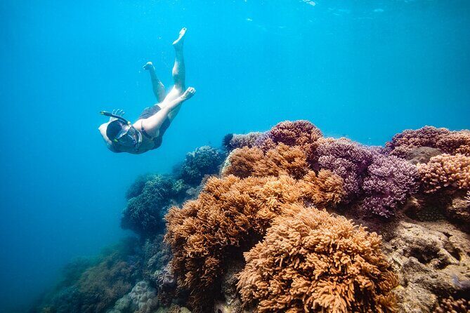 Whitehaven Beach and Hill Inlet Lookout Snorkeling Cruise - Key Points