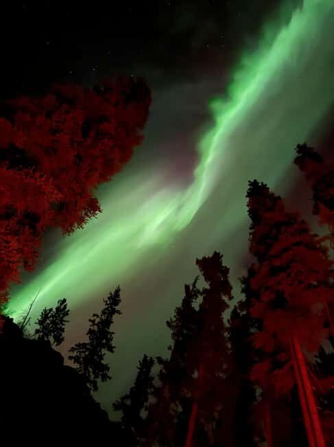 Whitehorse: Aurora Viewing with Wild Adventure Yukon - What to Expect in Terms of Value and Experience