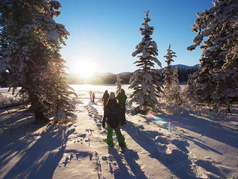 Whitehorse: Half-Day Snowshoeing Tour - Key Points