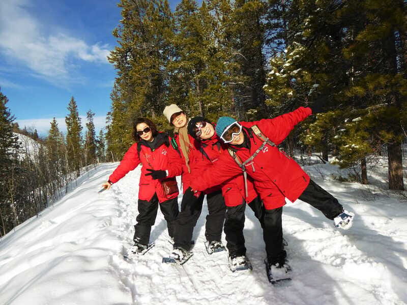 Whitehorse: Half-Day Snowshoeing Tour - Who Should Consider This Tour?