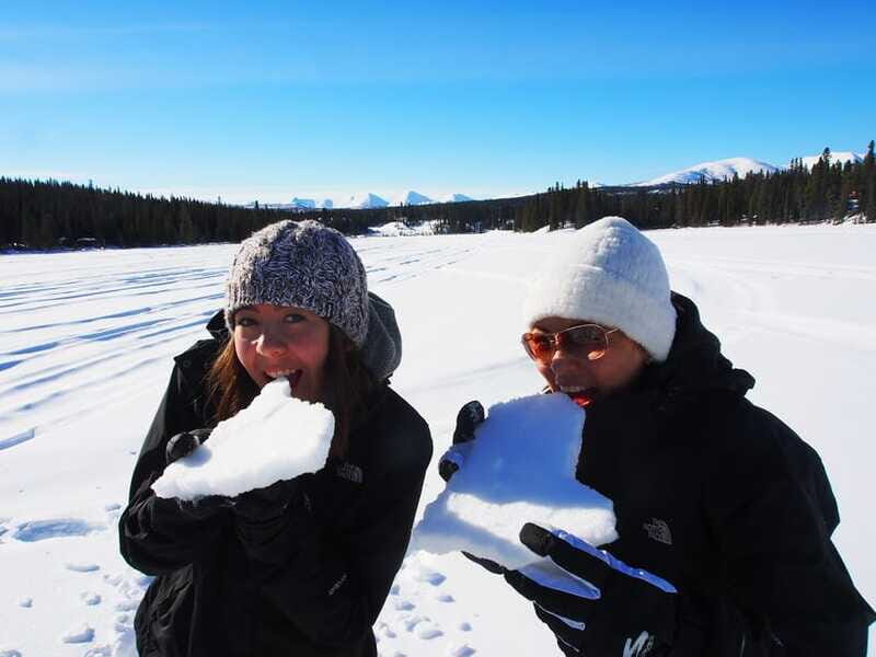 Whitehorse: Half-Day Snowshoeing Tour - The Sum Up