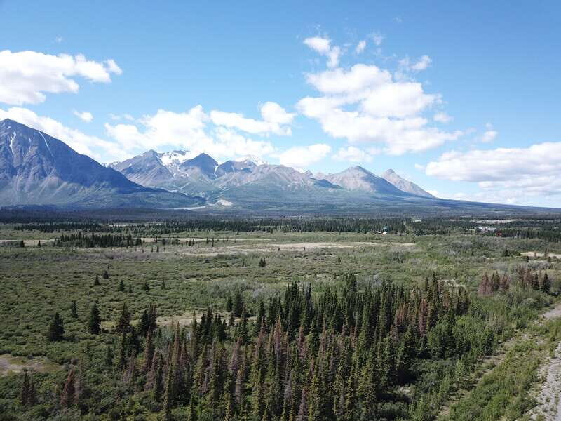 Whitehorse: Kluane - Wildlife & Vistas - Whitehorse: Kluane – Wildlife & Vistas Review